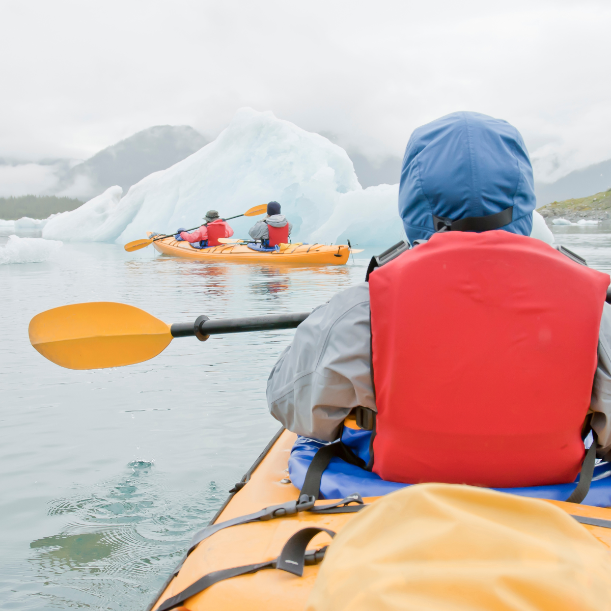 Choosing the Best Alaska Cruise for You - livelargetravel.com